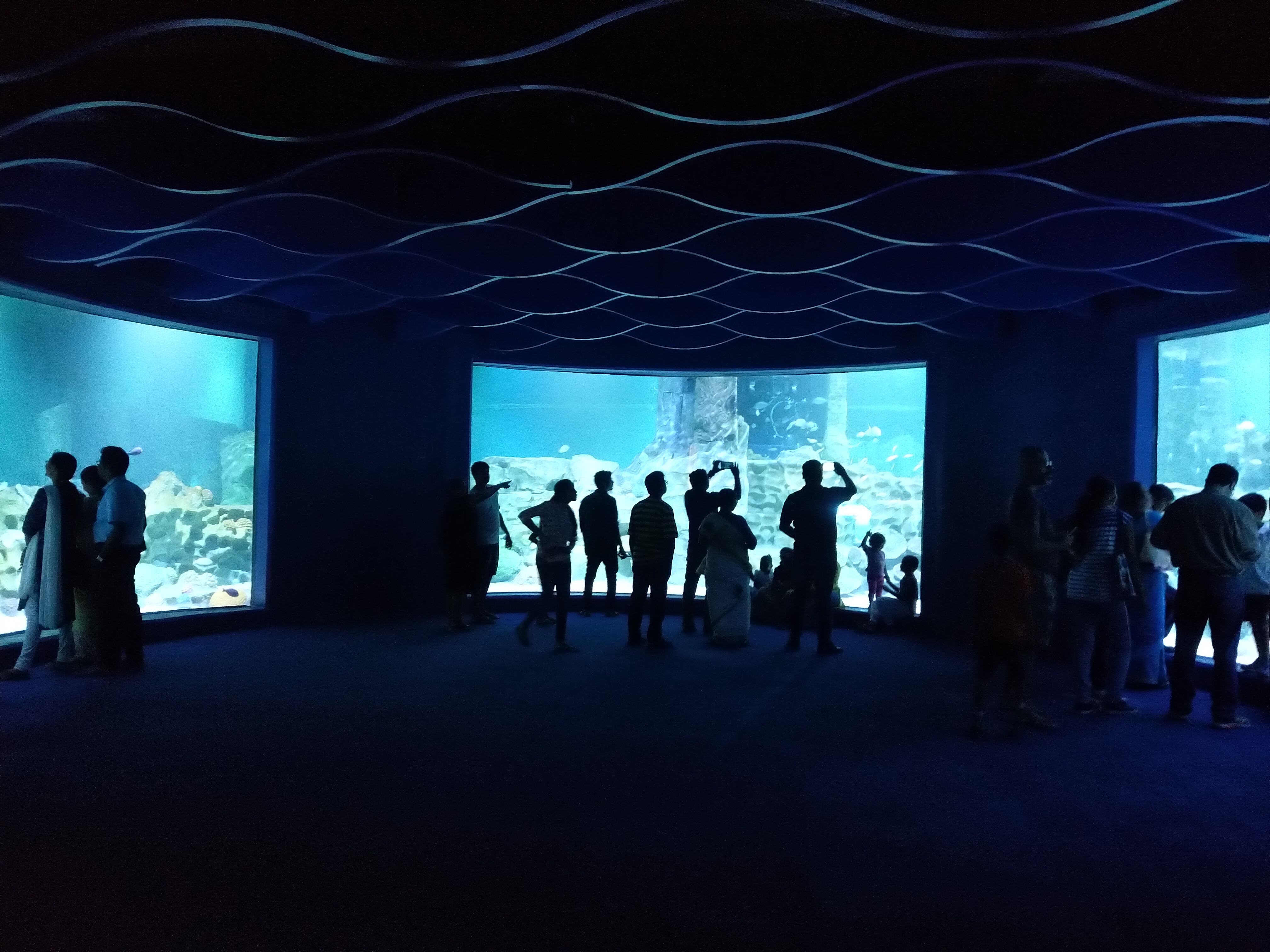 VGP Marine Kingdom: A Fascinating Underwater Experience in Chennai – A ...