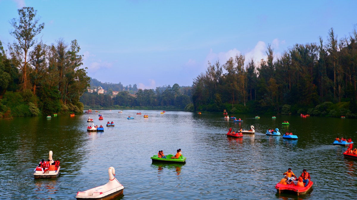 Ooty Boat House: A Festive Paradise with Scenic Views – A Solivagant's ...