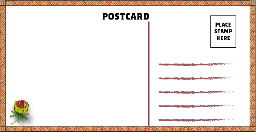 Kandhal Flower Postcard – A Solivagant's Shoes